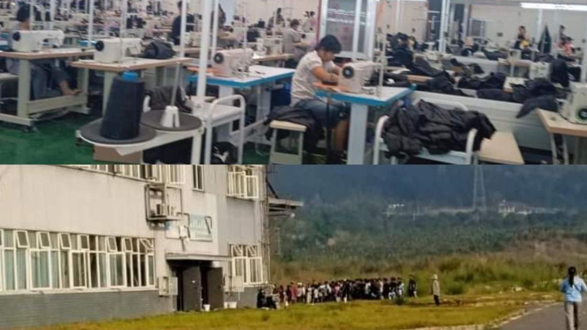 OWIC card will only be issued to foreign workers who came back to ...